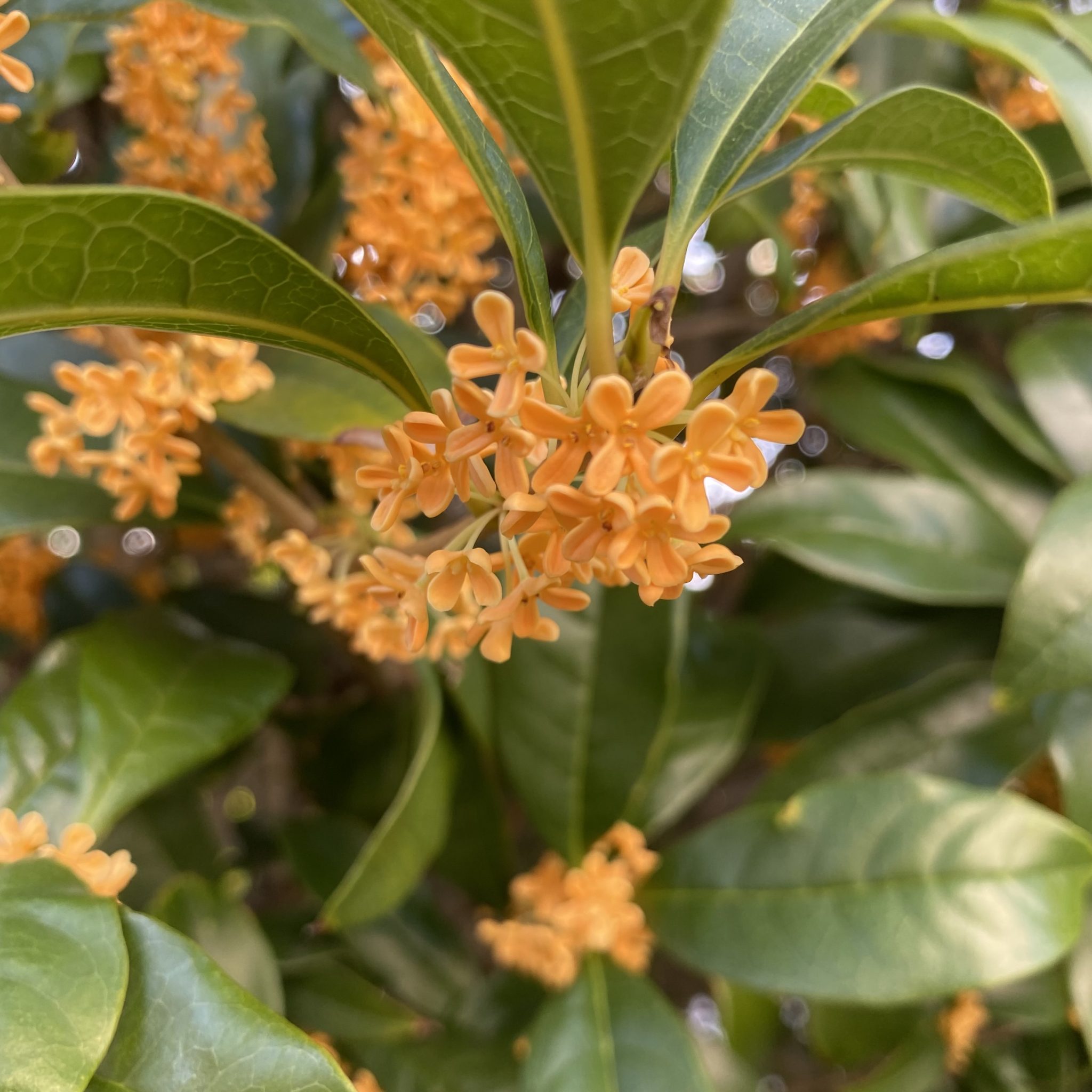 BreakTime – 社員の声